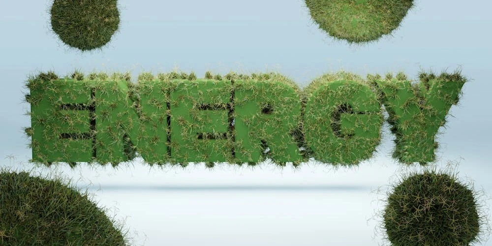 erex Boosts Biomass Operations in Vietnam for Sustainable Growth ...