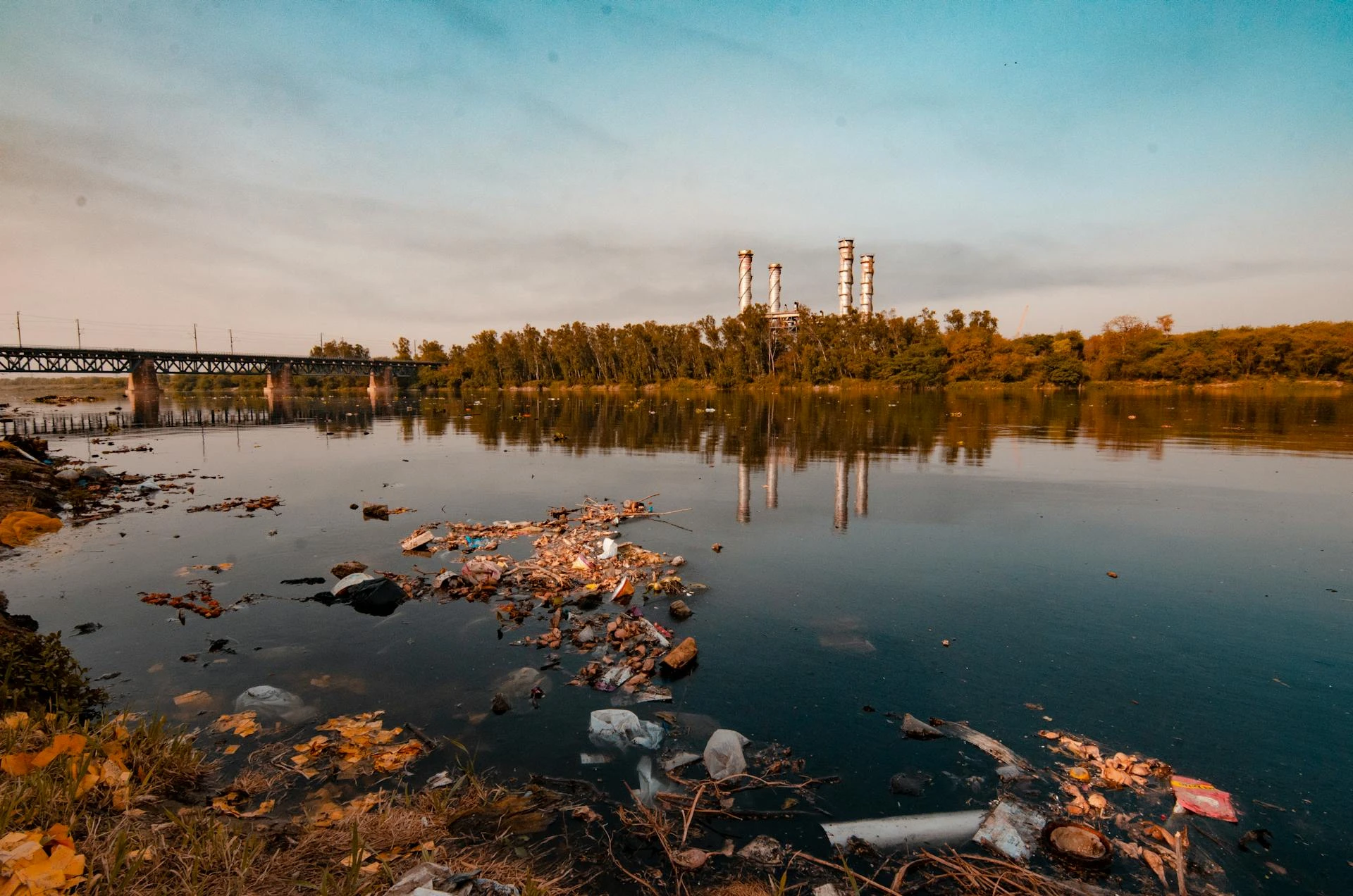 How Is Delhi's First Biogas Plant Revolutionizing Waste Management ...