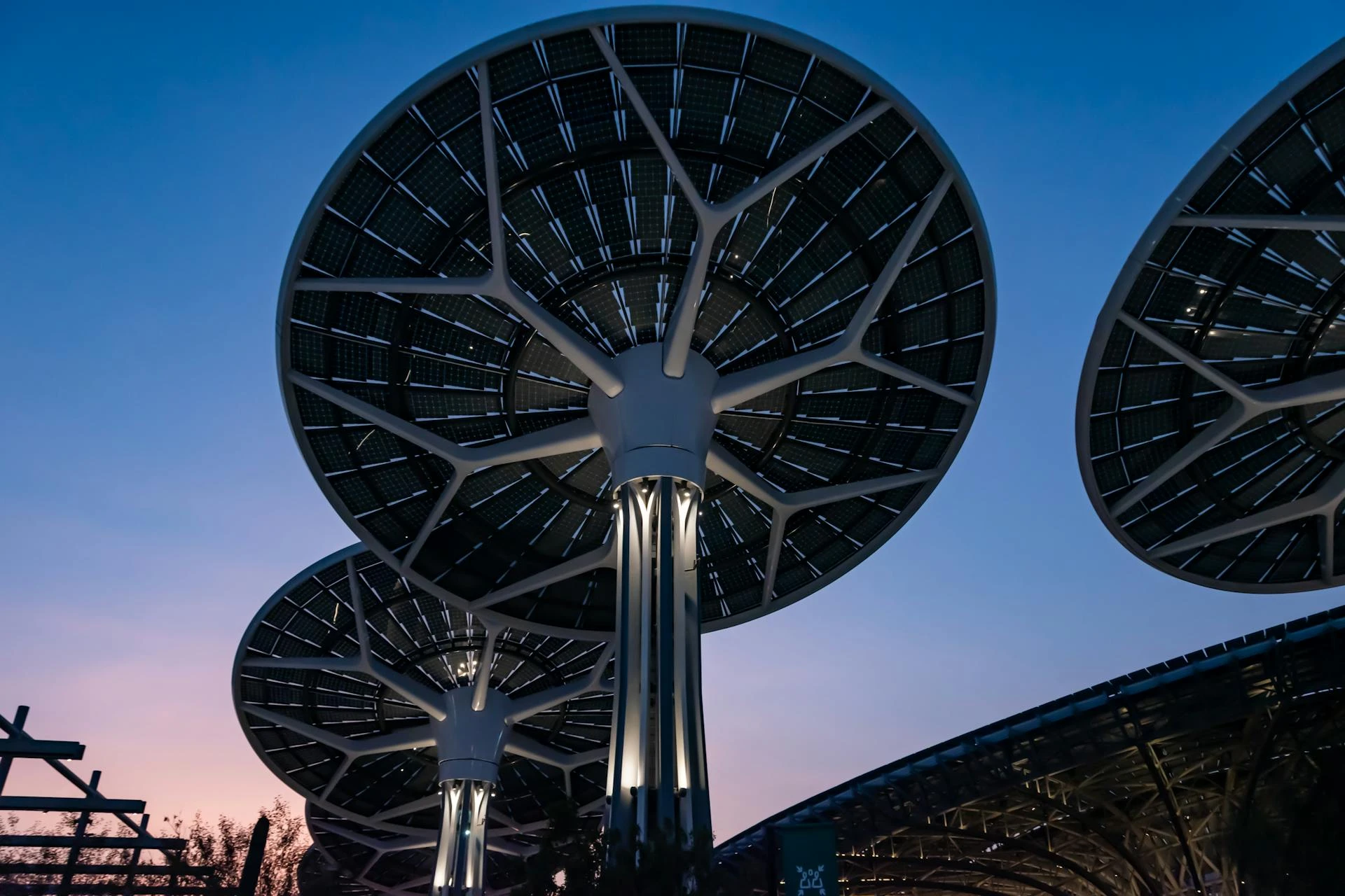 Can Solar Trees Save Forests While Powering the Future? | Energy Curated