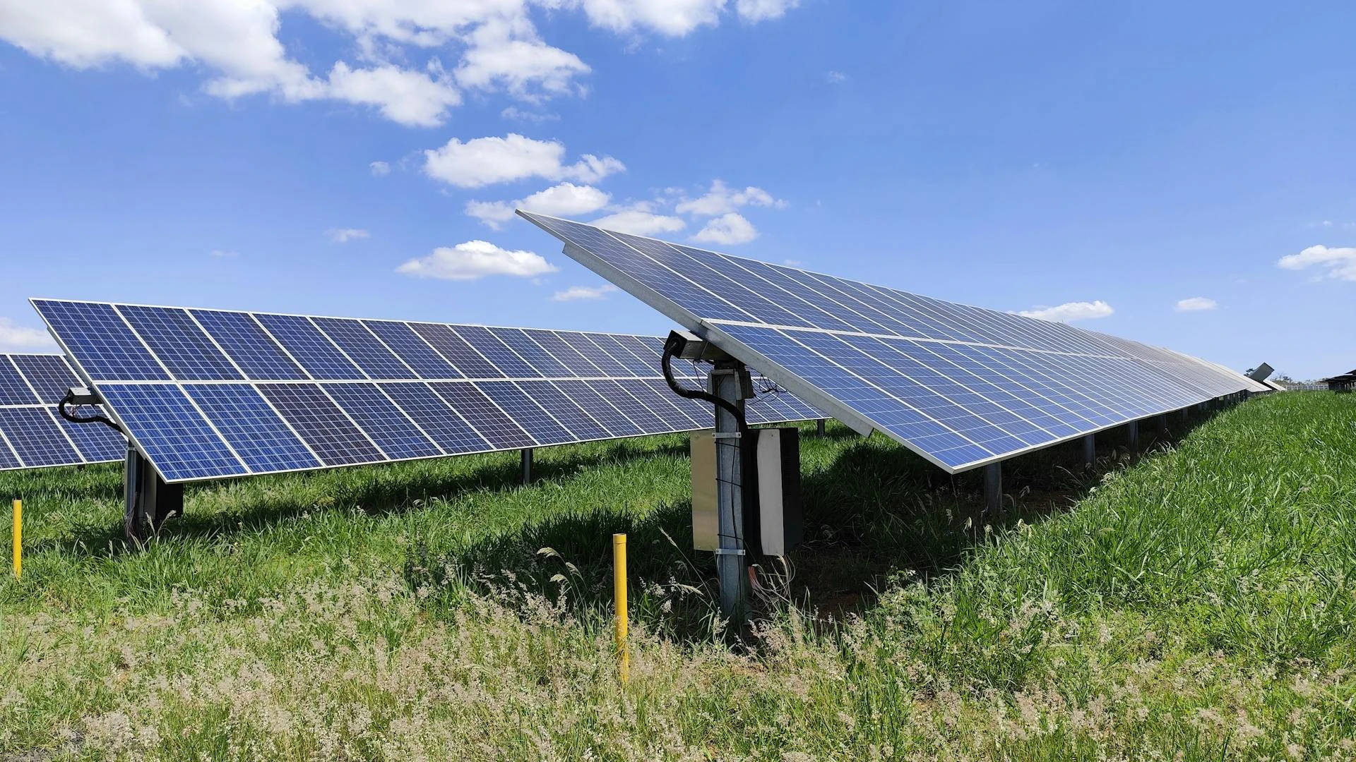 How Did Sunrun Achieve 400% Virtual Power Plant Growth? | Energy Curated